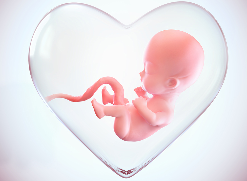 Life Plasma for the Ideal Womb Environment - MRT Health