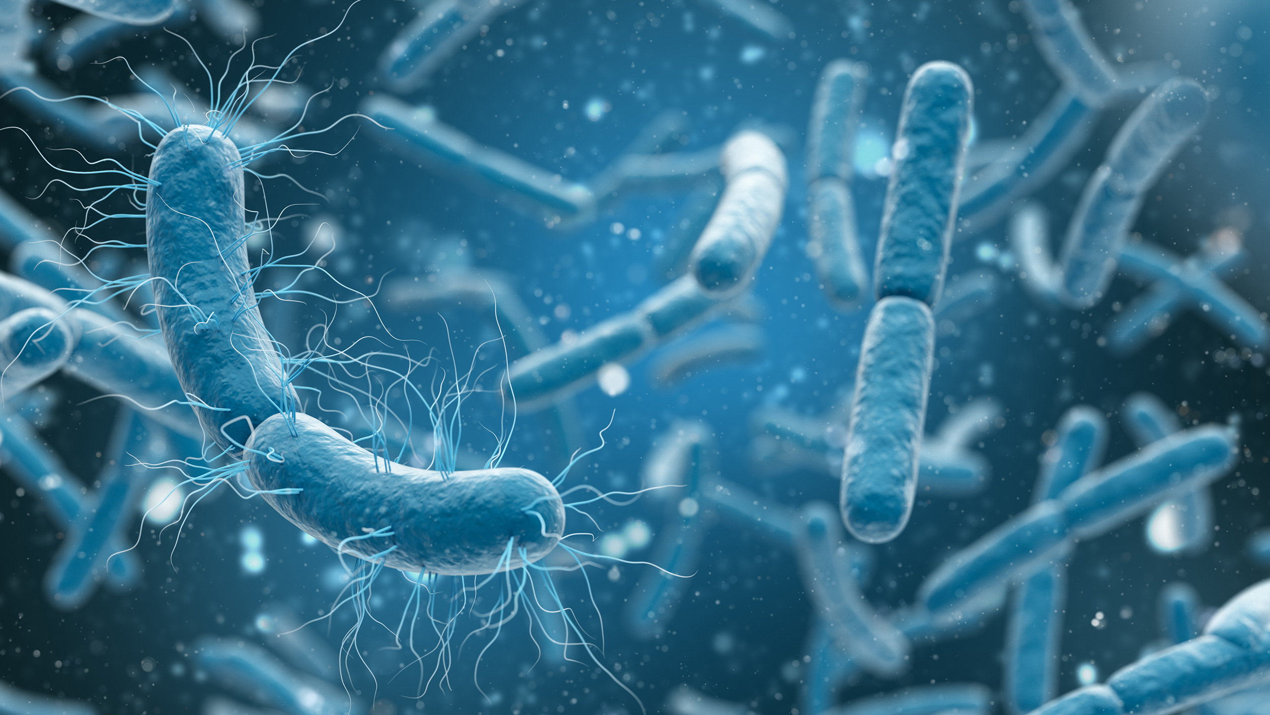 The Bacterial War inside Your Gut - MRT Health